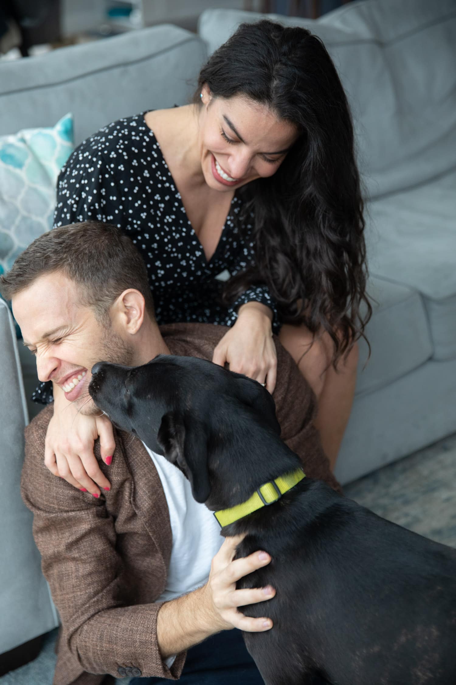 Dog Proposal · Proposal Ideas with Dogs · Los Angeles Proposal Photographer
