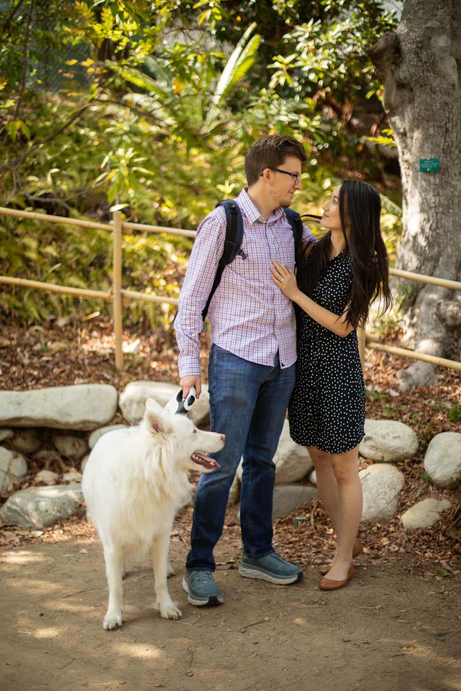 Dog Proposal · Proposal Ideas with Dogs · Los Angeles Proposal Photographer