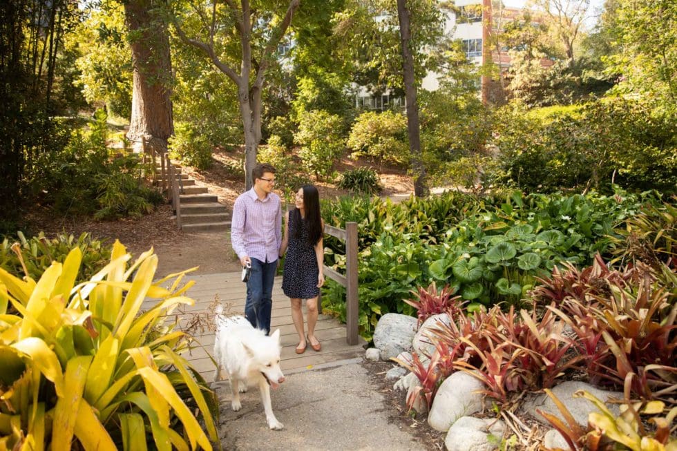 Proposal Ideas with Dogs | Los Angeles Proposal Photographer